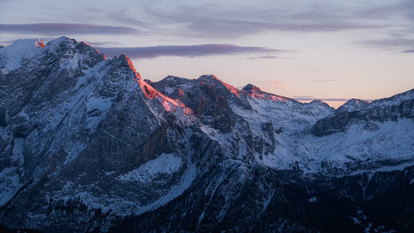 Photo gallery – Selene Yu