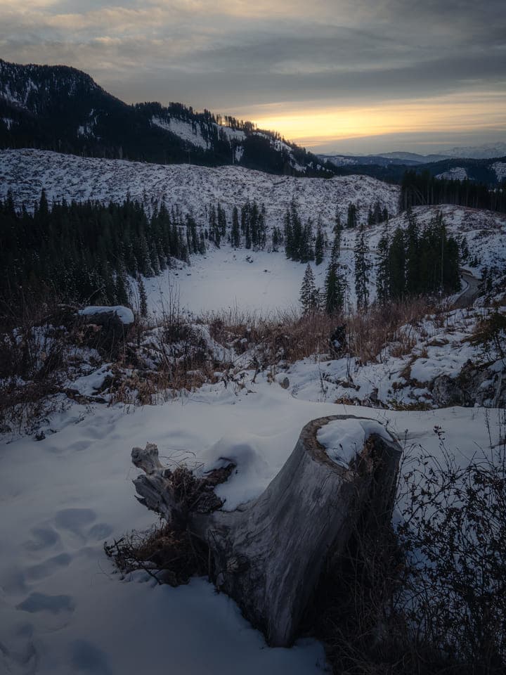 Photo gallery – Selene Yu